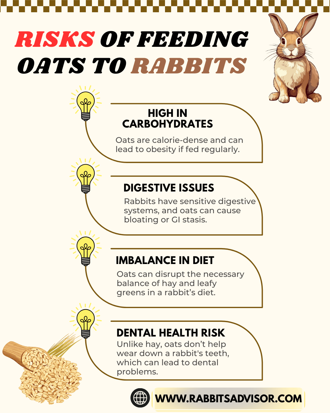 Can Rabbits Eat Oats and Oatmeal? A Complete Guide - Rabbits Advisor